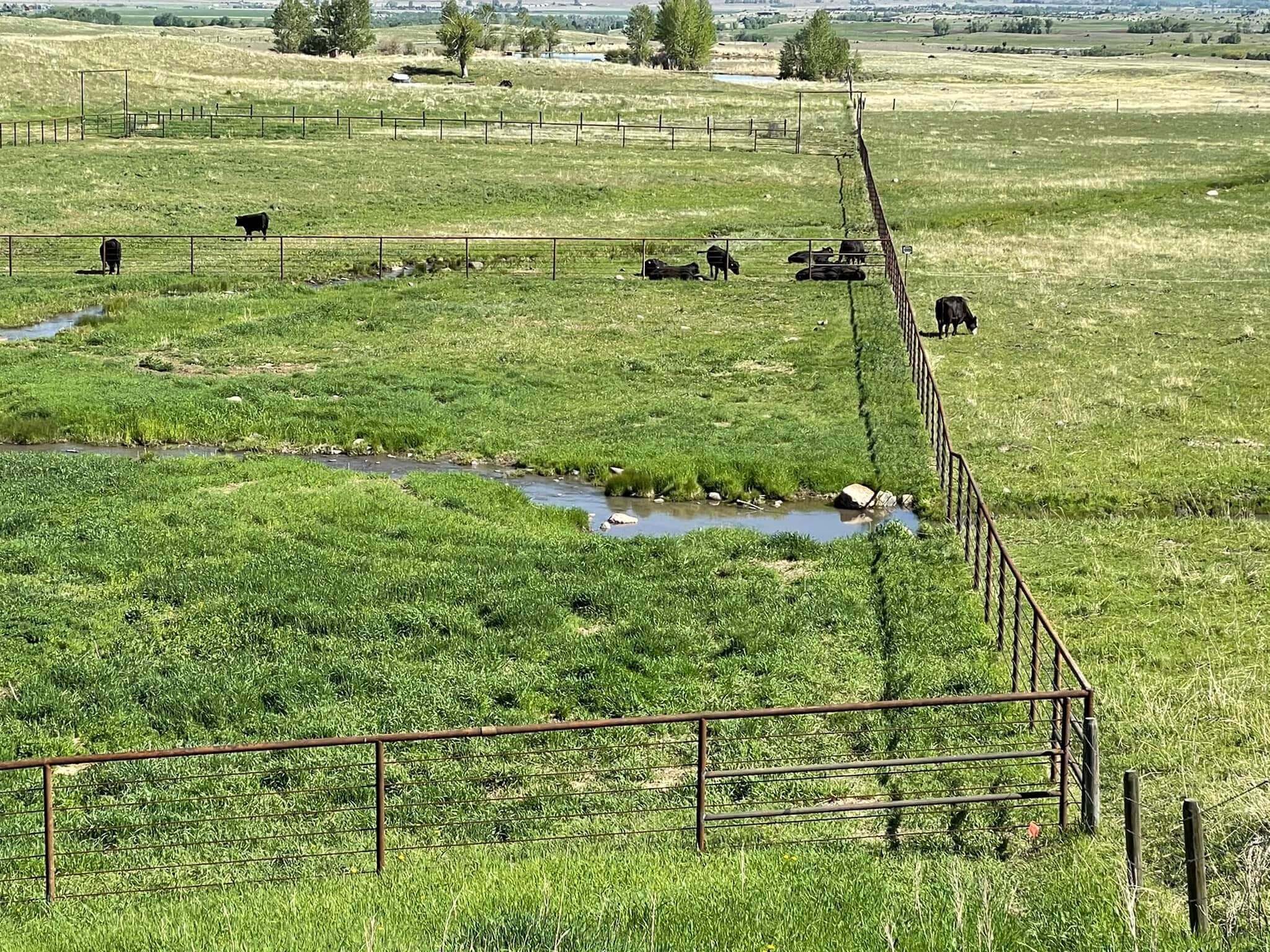 Home - Rapid Ag Fencing
